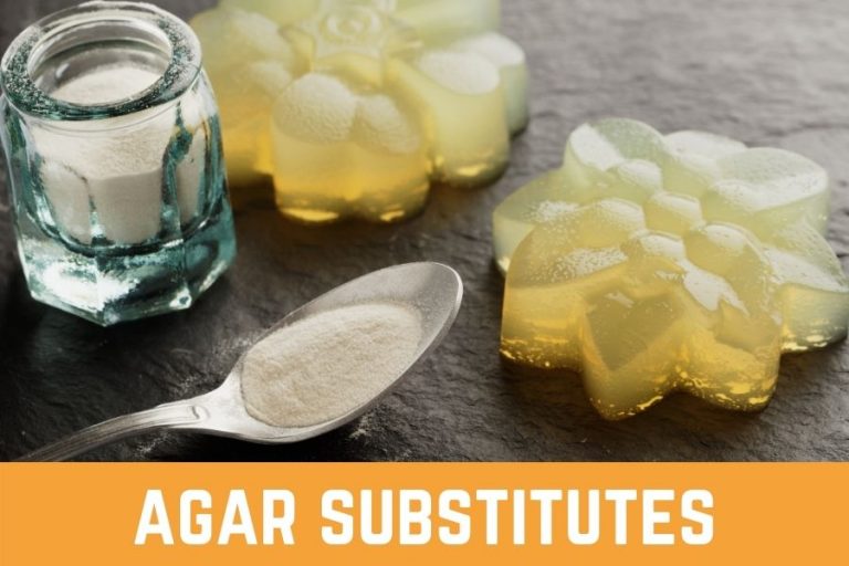 Agar Substitutes: Here Are Some Recommended Alternatives You Can Choose